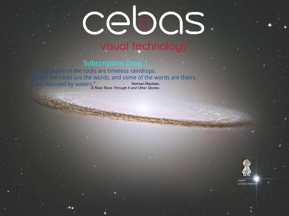 Welcome to cebas VISUAL TECHNOLOGY Inc.